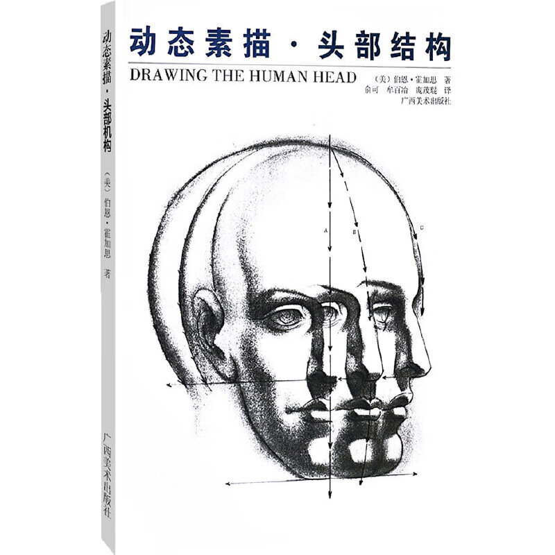 动态素描·头部结构（中文简体字版）