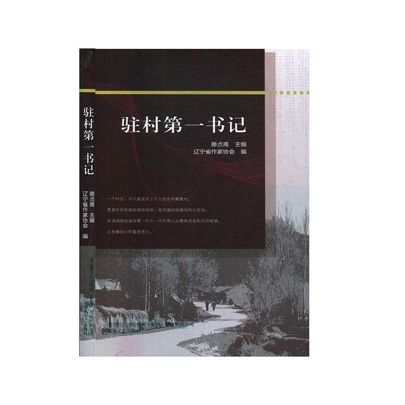 驻村第/滕贞甫/童书/9787531357117