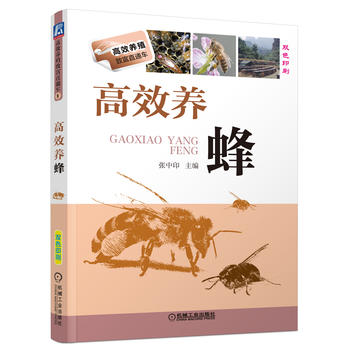 现货:高效养蜂 张中印 9787111447962