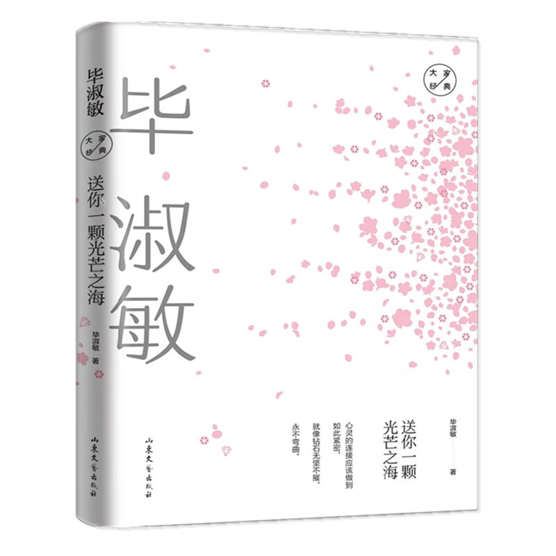 送你一颗光芒之海：毕淑敏经典散文