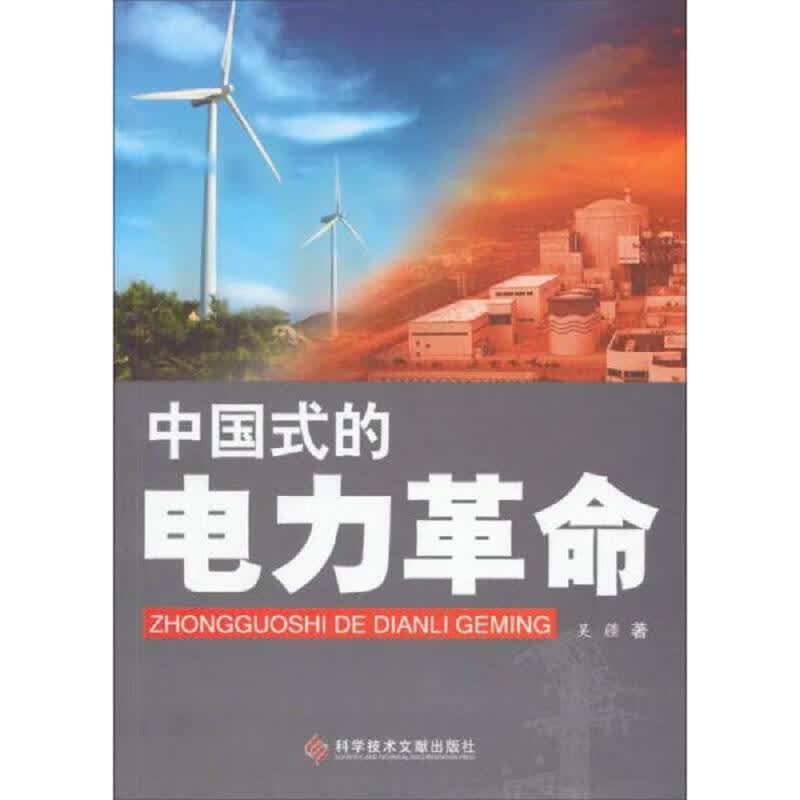 中国式的电力革命