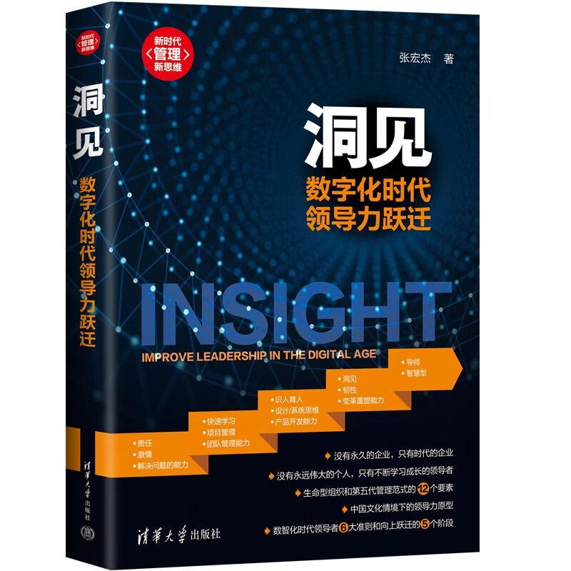 洞见：数字化时代领导力跃迁（新时代·管理新思维）