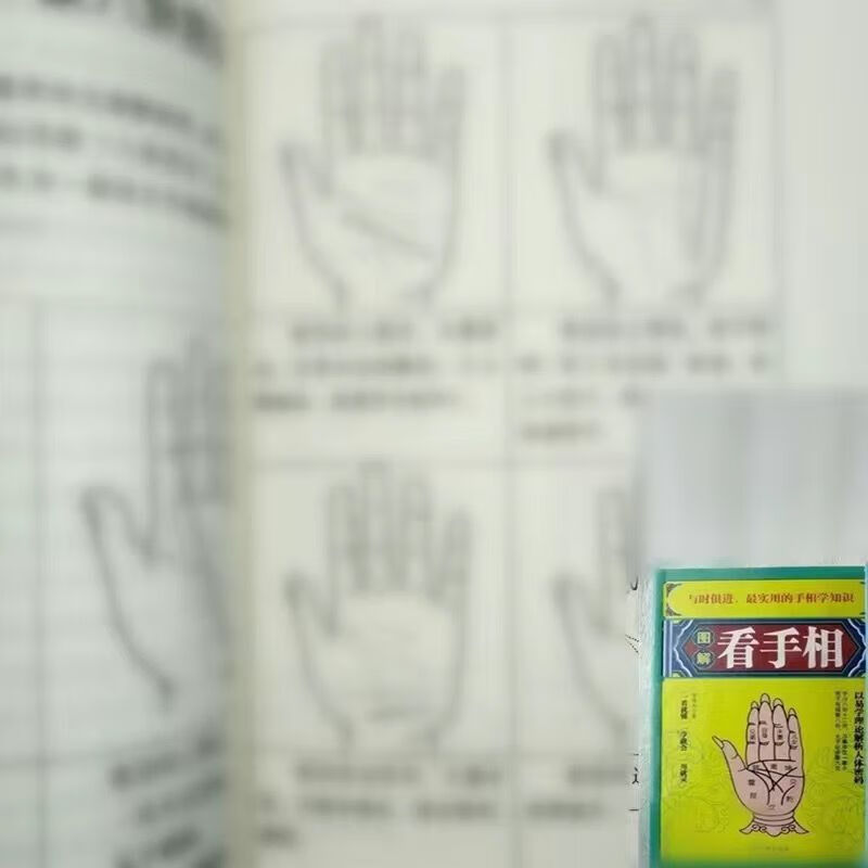 图解相书男女相学大全手相面风水416页给你 看手384