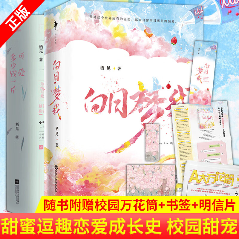 可爱多少钱一斤+白日梦我桀骜校霸vs外刚内柔的颓废少女 校园青春言情小说