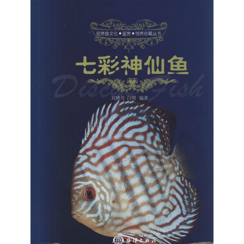 七彩神仙鱼【，放心购买】