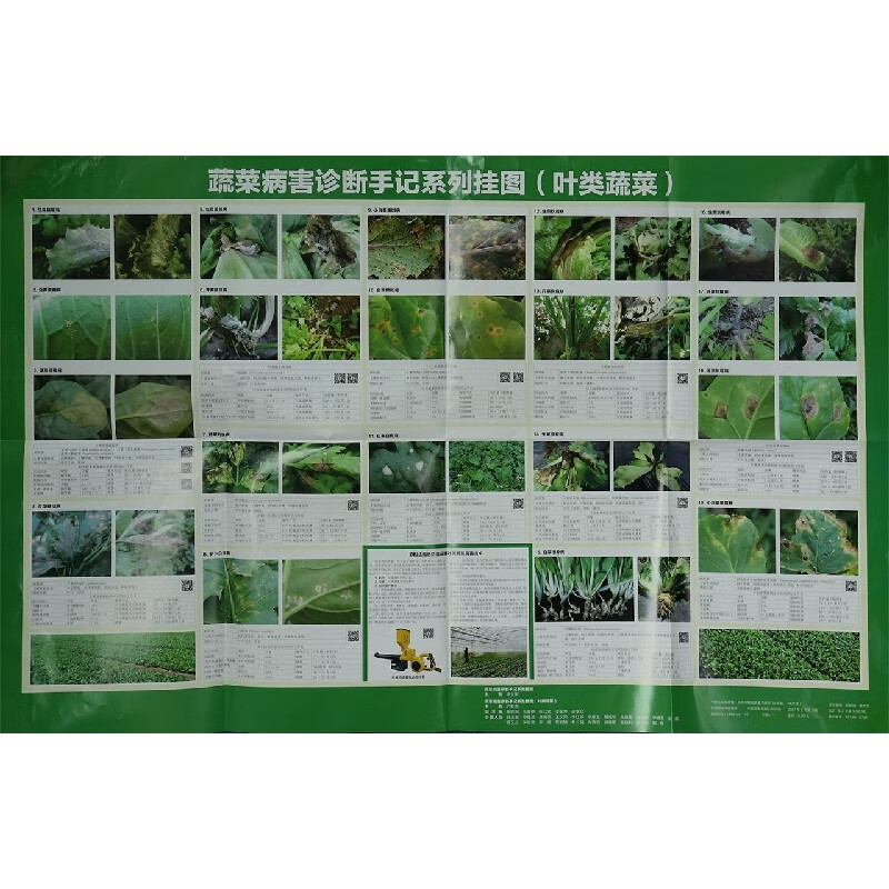 蔬菜病害诊断手记系列挂图（叶菜类蔬菜）