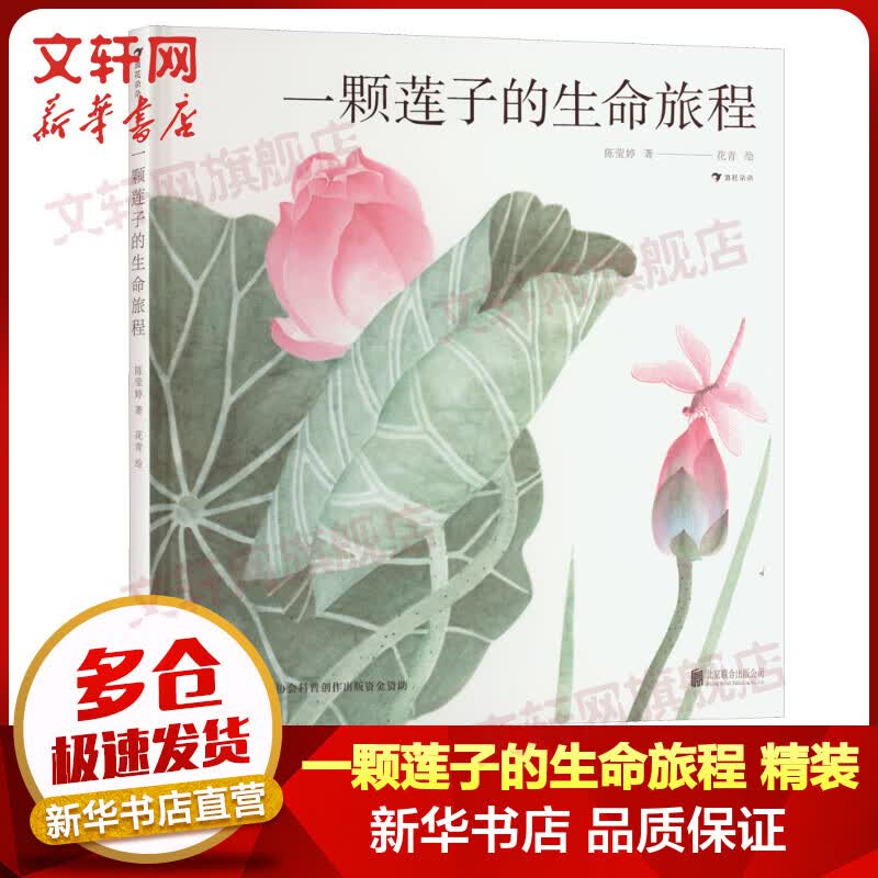 一颗莲子的生命旅程 精装 植物科普绘本 以国画绘出莲的生命轮回 浪花朵朵儿童科普绘本 图书 儿童读物 图书
