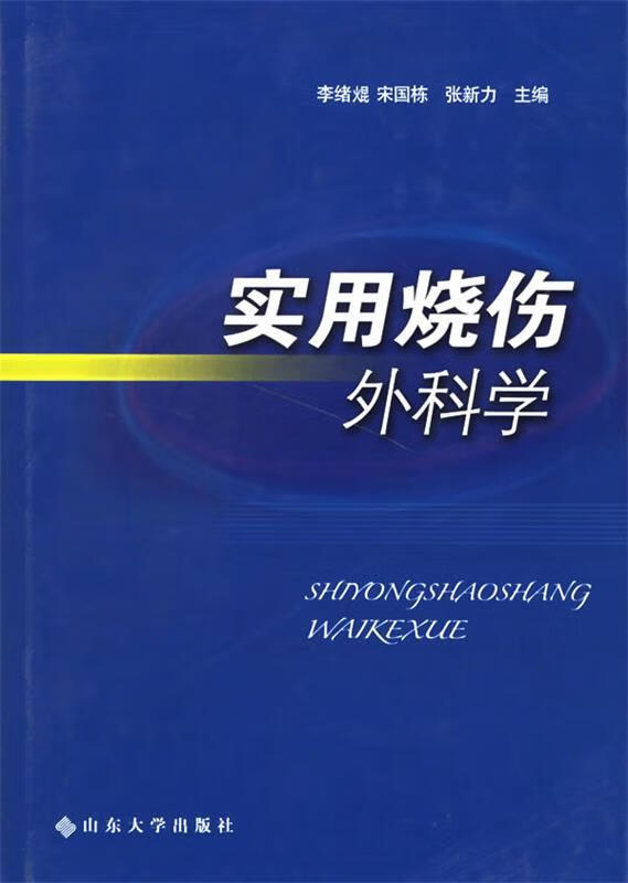 实用烧伤外科学