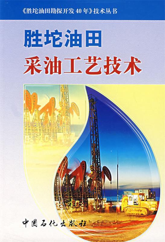 胜坨油田采油工艺技术