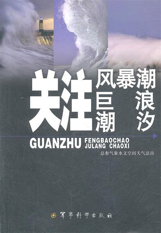 关注风暴潮 巨浪 潮汐 刘俊