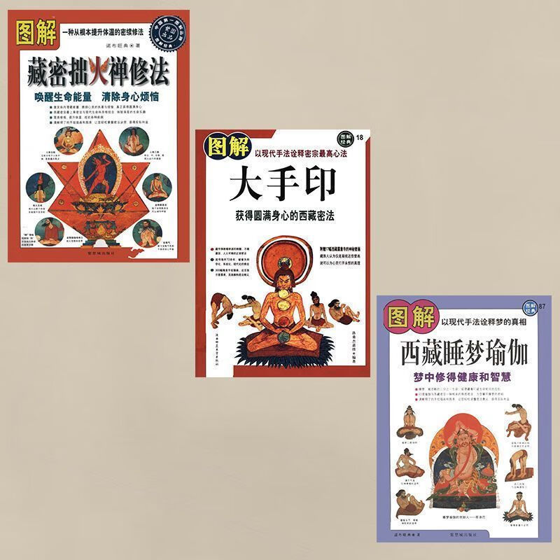 现货图解西藏睡梦+图解大手印+图解藏密拙