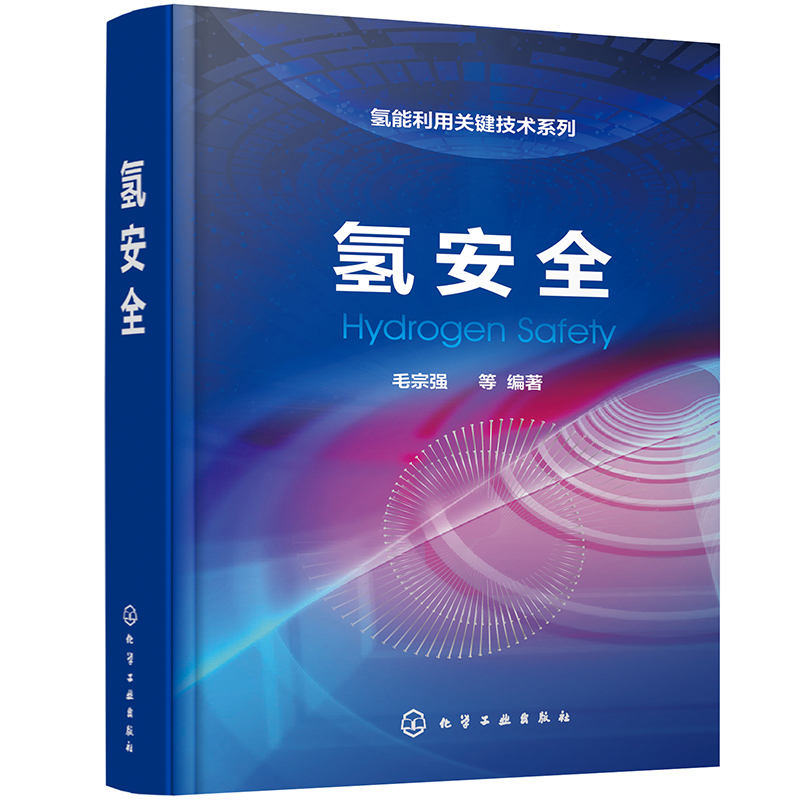 氢能利用关键技术系列--氢安全（精装）