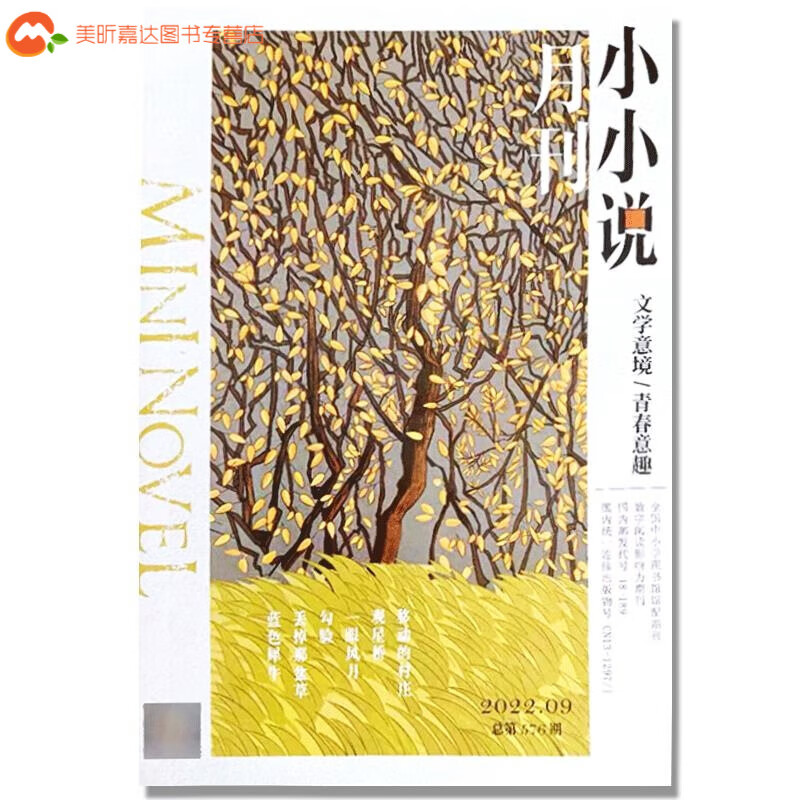 小小说月刊杂志2023年1月单本文学意境青春意趣 2022年9月