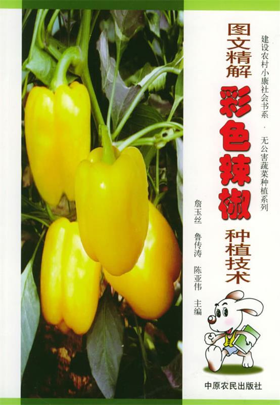 图文精解彩色辣椒种植技术