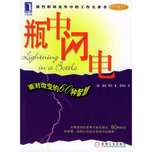 瓶中闪电【好书】