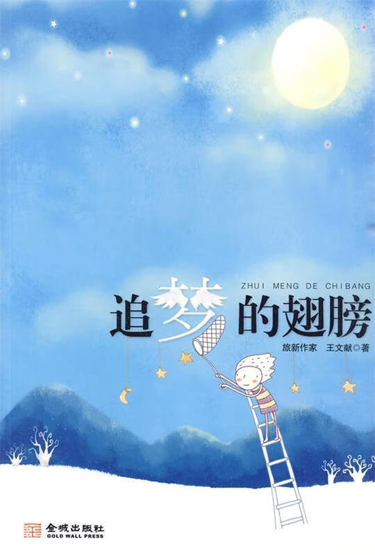 追梦的翅膀 王文献