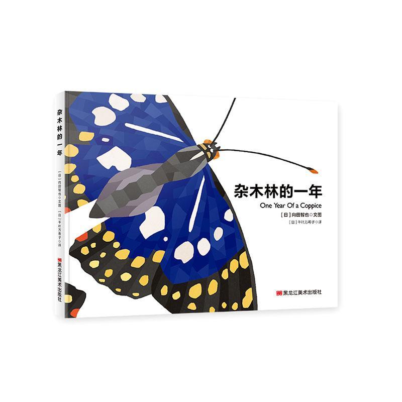 杂木林的一年向田智也文图黑龙江社9787559349767 科学与自然书籍