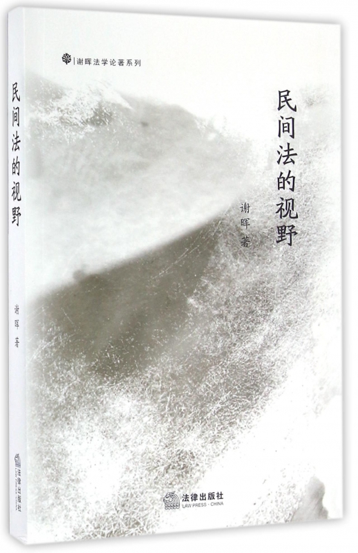 民间法的视野/谢晖法学论著系列