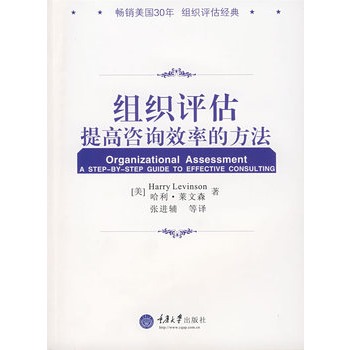 组织评估提高咨询效率的方法