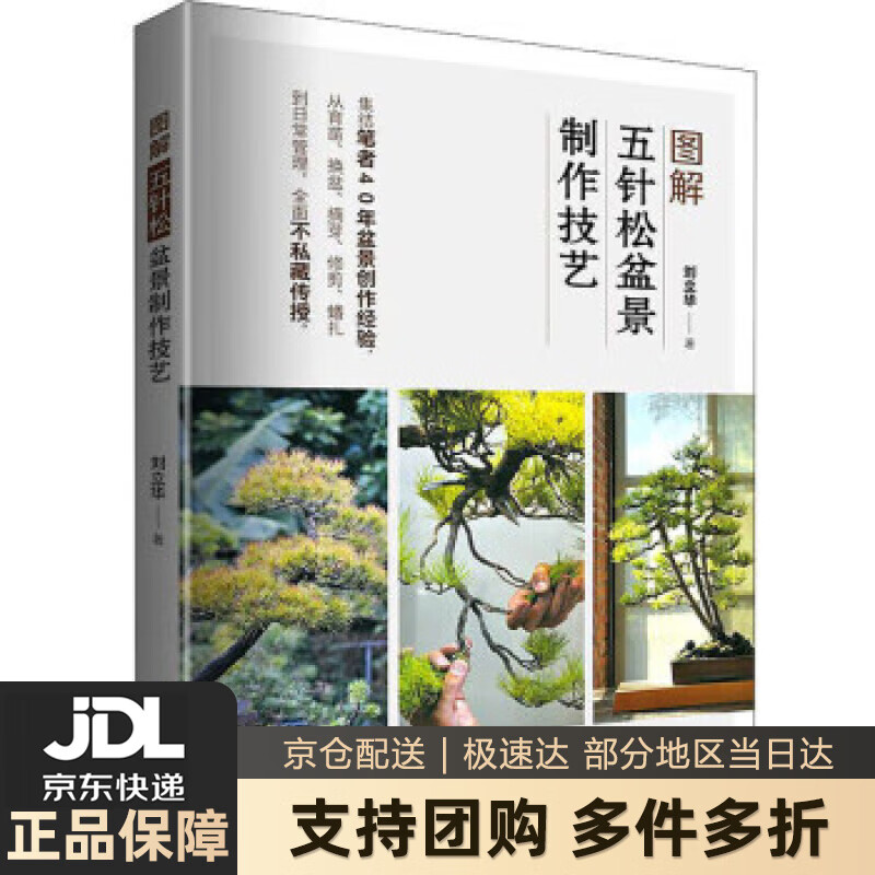 【 送货上门】图解五针松盆景制作技艺