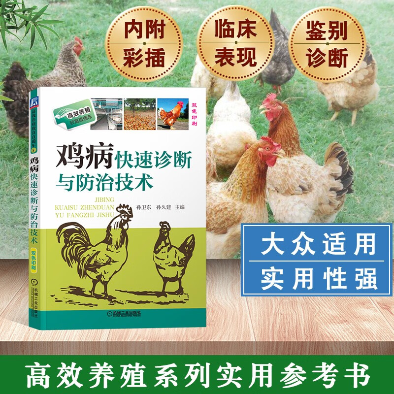 鸡病快速诊断与防治技术 养鸡技术书籍养鸡书鸡养殖技术 养鸡病治疗防御实用手册土鸡养殖养殖技术书籍高效养鸡技术书籍