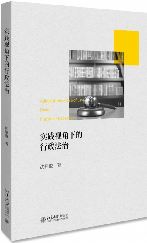 实践视角下的行政法治