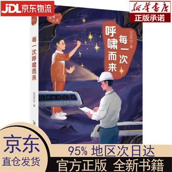 父爱一片天：每一次呼啸而来 王天宁 安徽少年儿童出版社