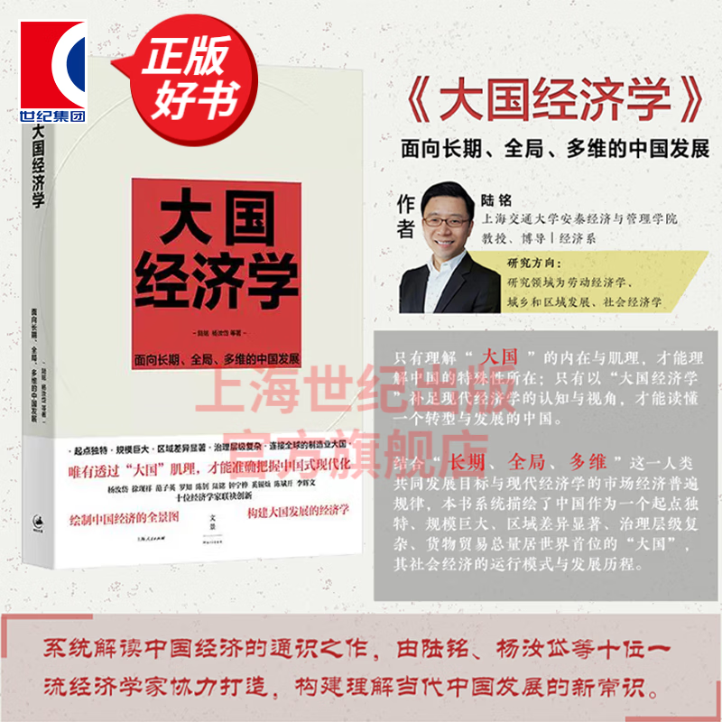 大国经济学 : 面向长期、全局、多维的中国发展 系统解读中国经济的通识之作 陆铭 杨汝岱等十位一流经济学家协力打造 世纪文景