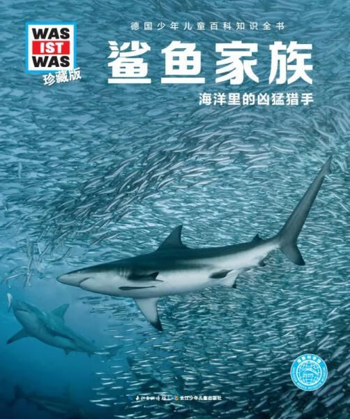 鲨鱼家族海洋里的凶猛猎手