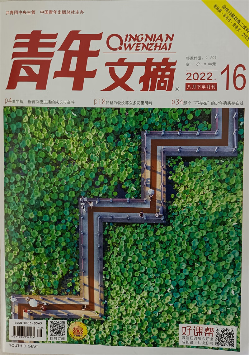 青年文摘 2022年第16期 文学文摘期刊 中学生作文素材课外阅书籍 京东自营