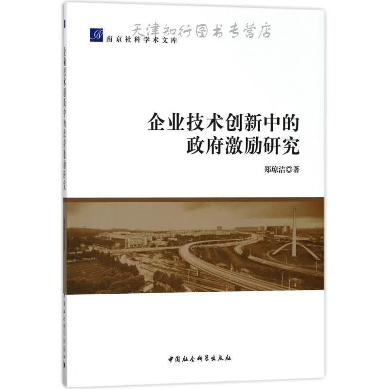企业技术创新中的政府激励研究