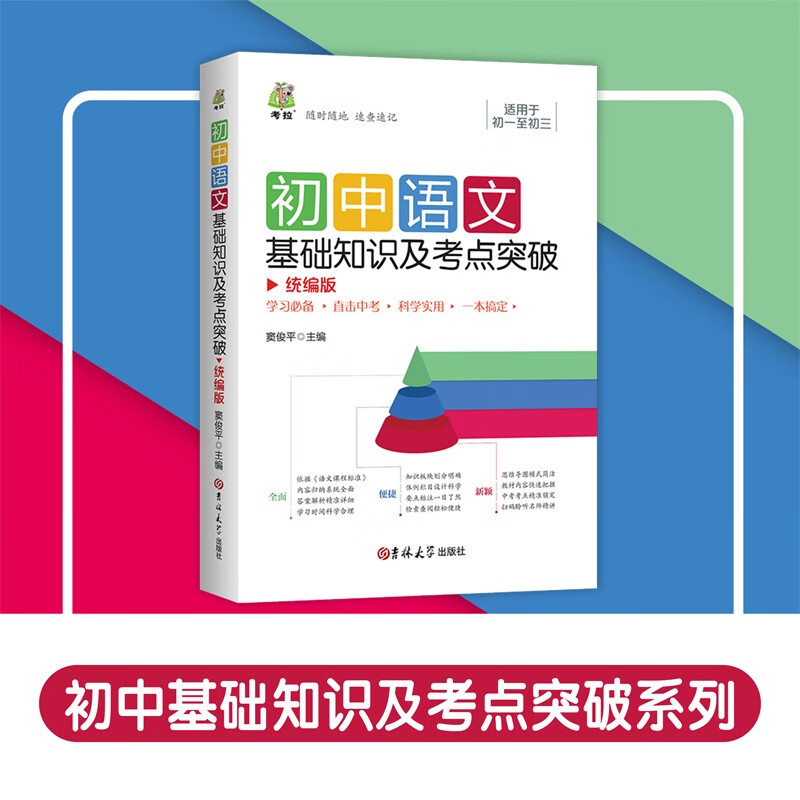 初中语文基础知识及考点突破（新旧版随机发货）