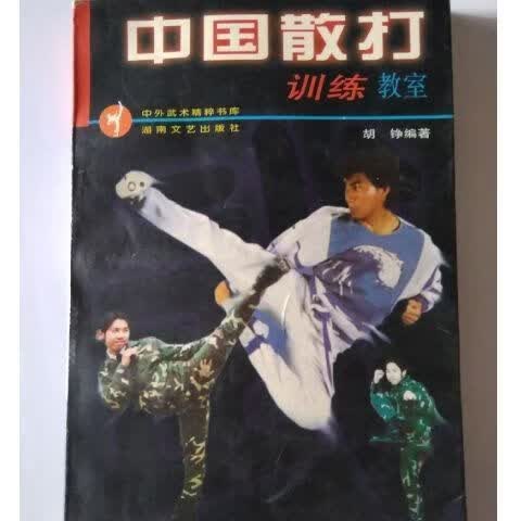 中国散打训练教室 散打武术 胡铮著中外武术精粹湖南文艺出版1998