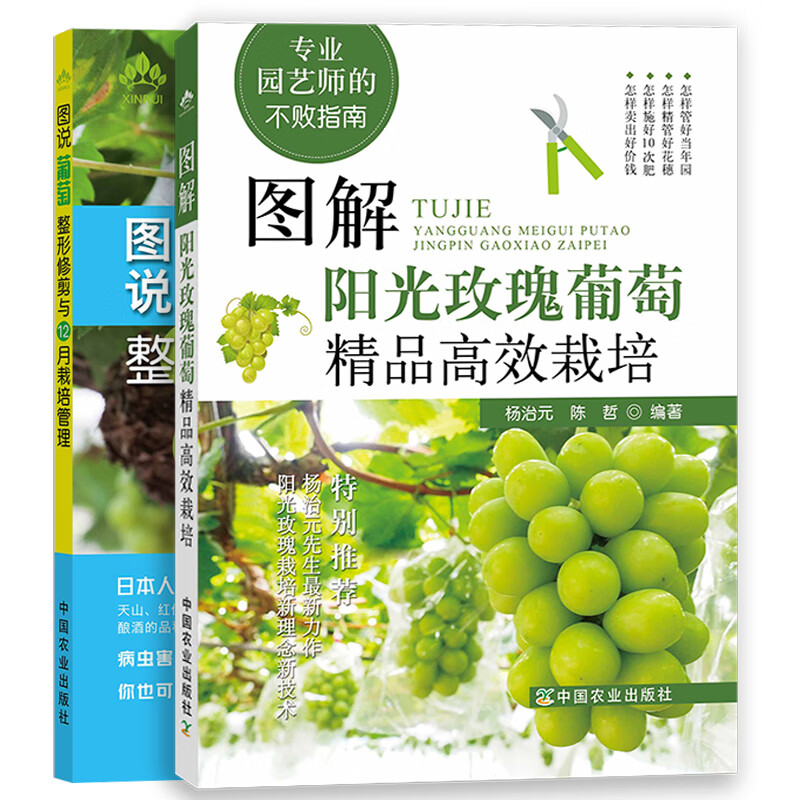两册图解阳光玫瑰葡萄高效栽培+图说葡萄整形修剪与12月栽培管理 葡萄种植技术书籍葡萄实用栽培技