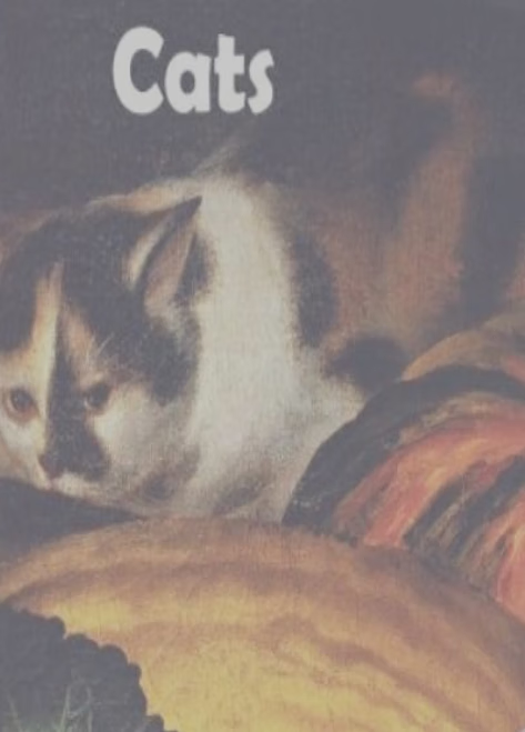 预售 Parkstone 英文原版 Cats 猫 艺术拼图