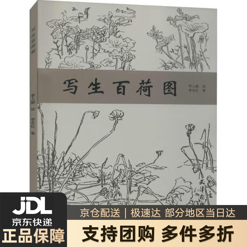 【 送货上门】写生百荷图