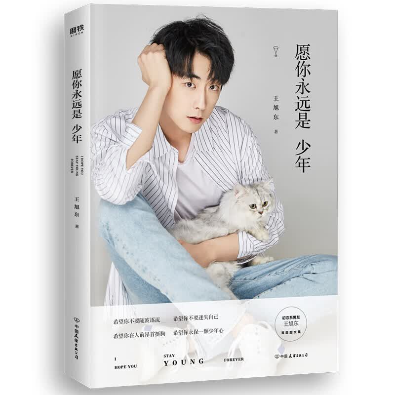 愿你永远是少年 传记 王旭东著 中国友谊出版公司 9787505745810