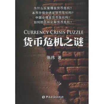 货币危机之谜