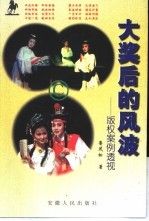 大奖后的风波版权案例透视
