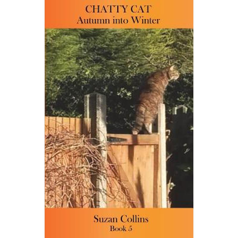 Chatty Cat: Autumn into Winter