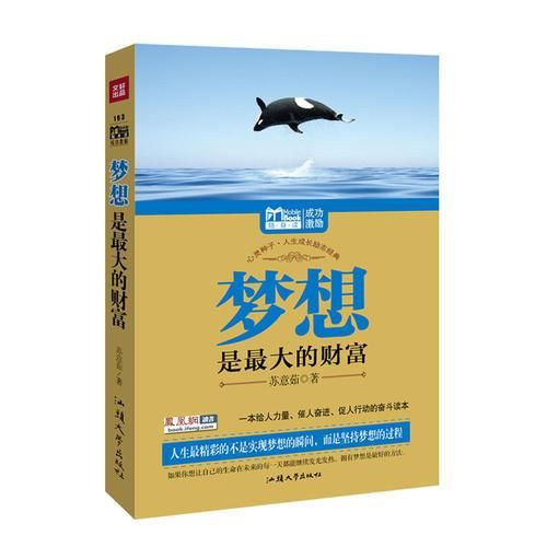 梦想是的财富9787565809354