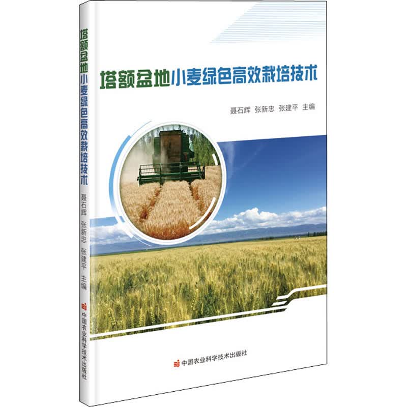 塔额盆地小麦绿色高效栽培技术