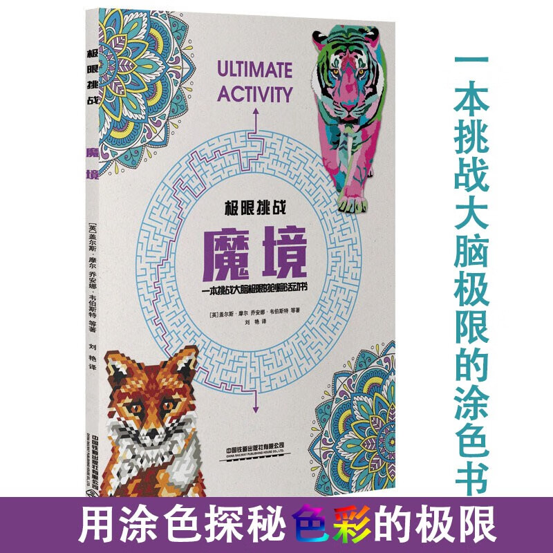 系列可选】极限挑战 魔宫魔线魔色魔镜 7-10-12岁儿童专注力培养思维能力训练开发大脑益智游戏放松解压小学生课外 单册】魔镜