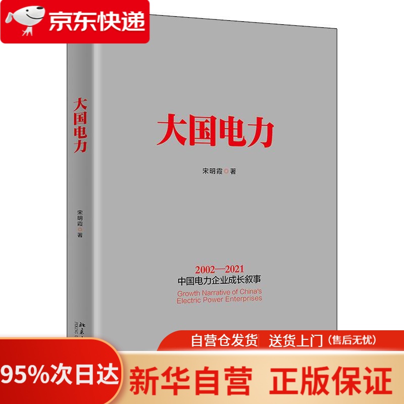 大国电力 宋明霞 宋明霞 北京大学出版社 9787301324950