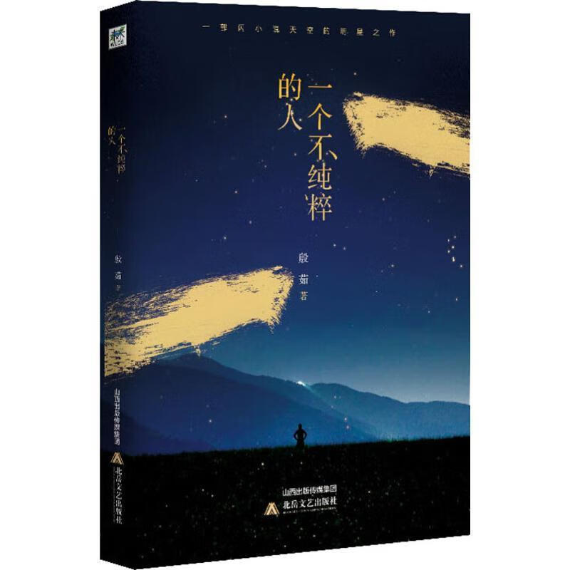 一个不纯粹的人 殷茹 著 北岳文艺出版社