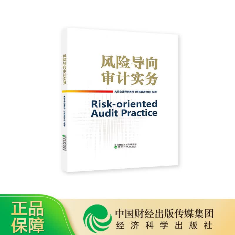 风险导向审计实务 大信会计师事务所（殊普通合伙）编著 经济科学出版社