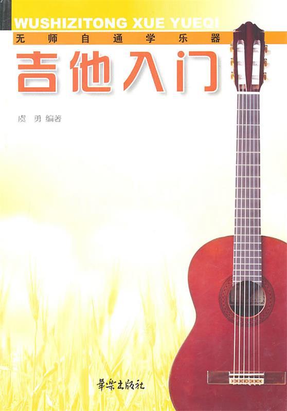 吉他入门 虞勇 编著