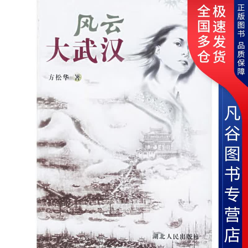 【书】风云大武汉