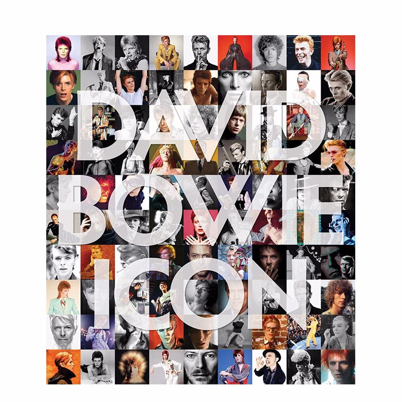 David Bowie: Icon 大卫·鲍伊:終及摄影画册 英文原版流行音乐偶像摄影集善本图书