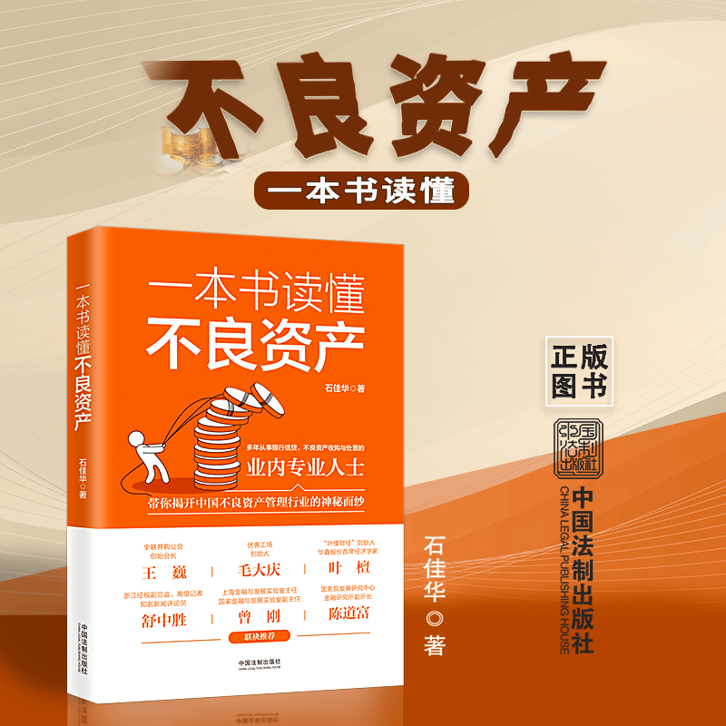 2022新书 一本书读懂不良资产 石佳华 著 中国法制出版社 9787521626964